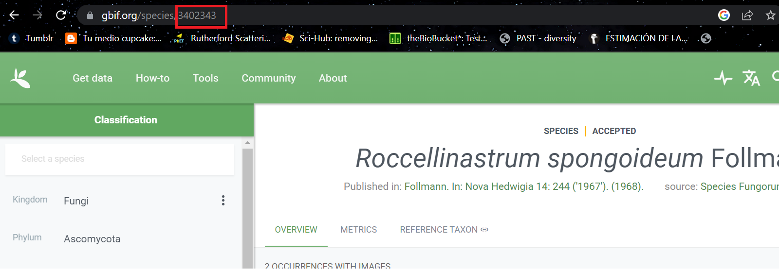 ¿ Qué es GBIF y qué información puedo obtener?